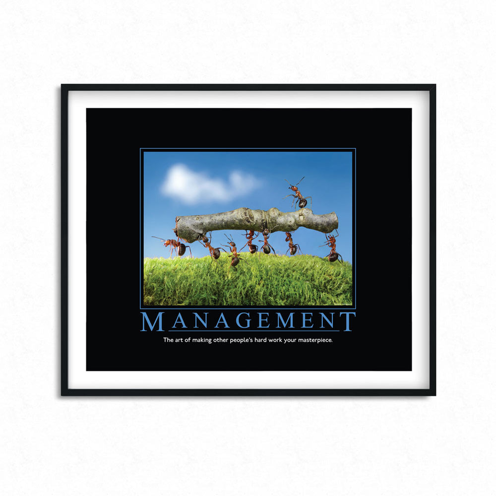 Management Demotivational Poster - Liberty Maniacs